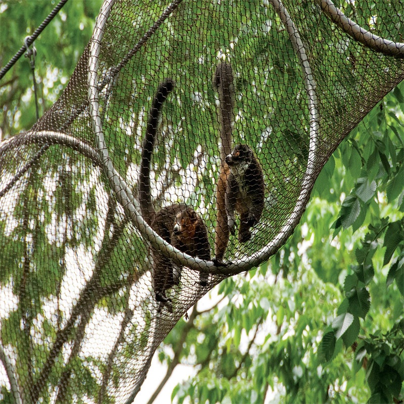 Bird aviary wire mesh
